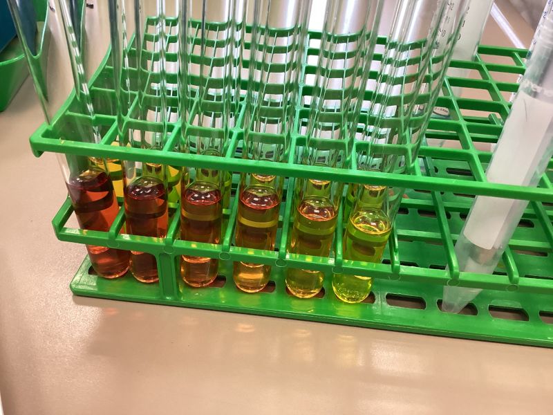 Bubble-Tea-Enzyme - AMG Ettlingen